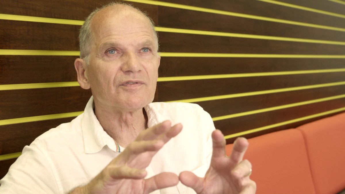 Butterflies and metamaterials – Martyn James Bull