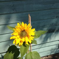 Works – Martyn James Bull