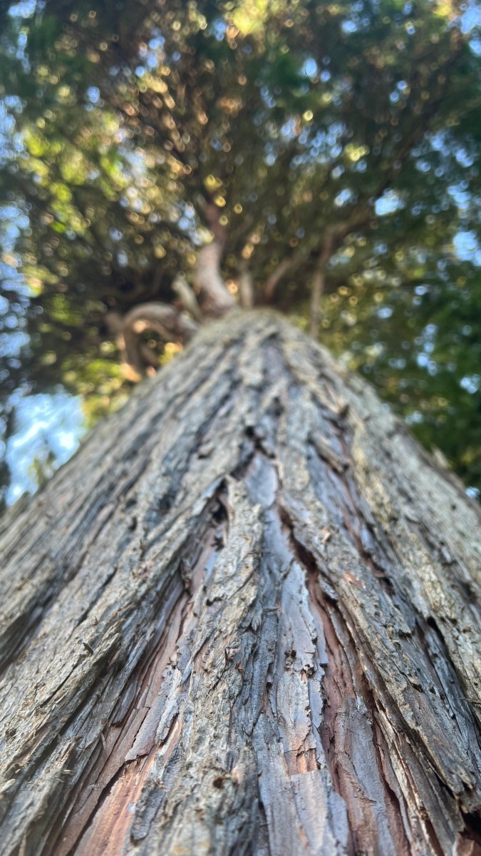 Memories are changing – Martyn James Bull